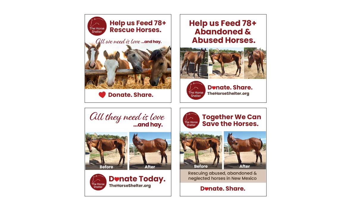 The Horse Shelter Marketing - Noisy Raven